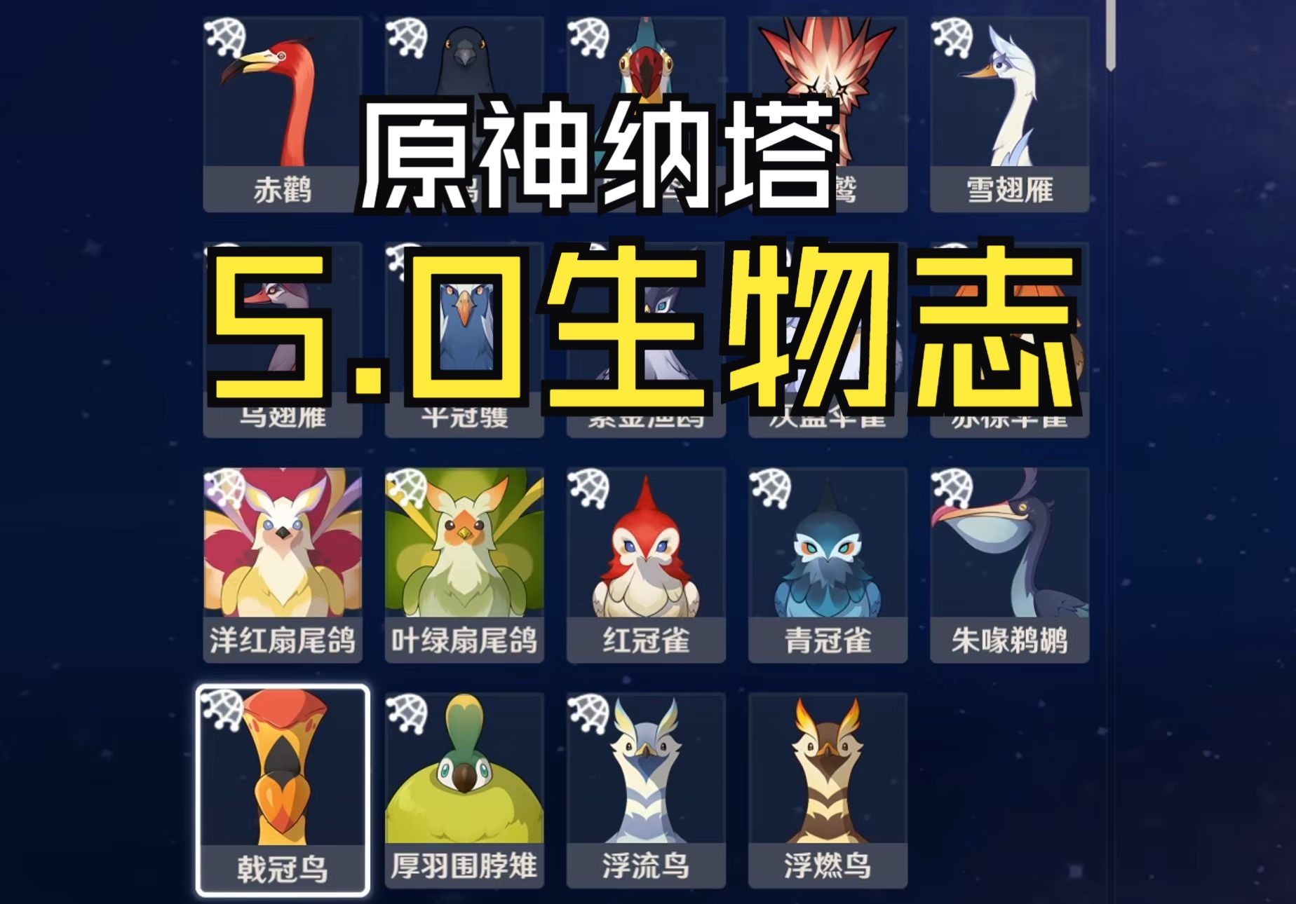 【原神5.0纳塔】生物志可以更新啦