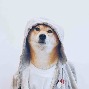 kersu 