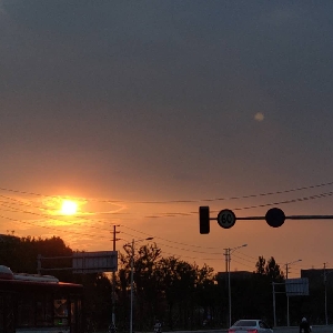 周老师爱小天 