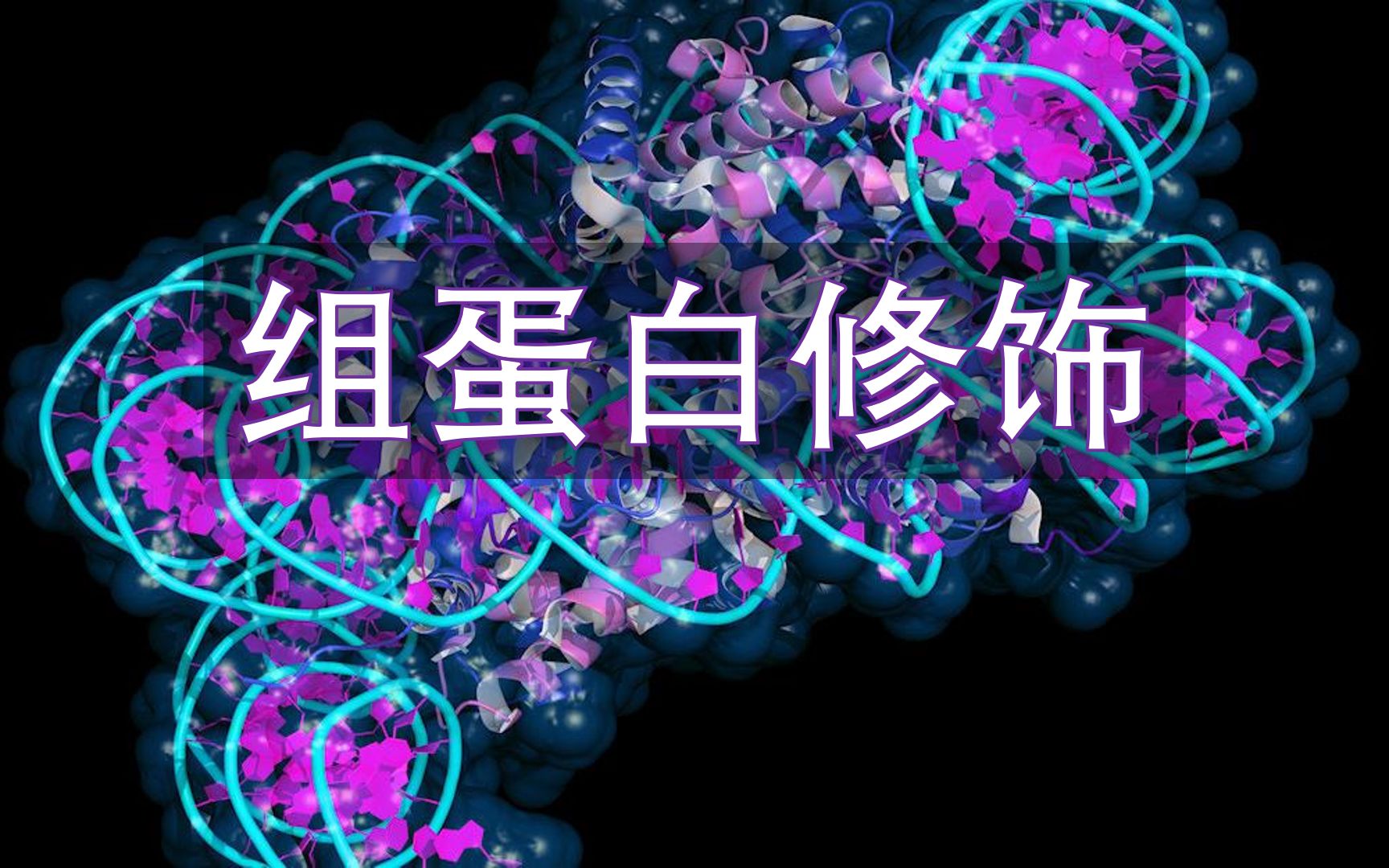 表观遗传系列- 2.组蛋白修饰:基因表达的精细调控