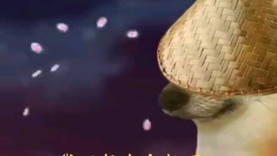 《万恶之源》谢谢你狗子原版视频