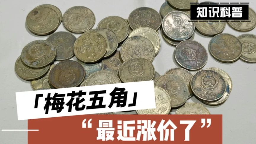 梅花五角硬币,听说涨价了,是不是真的?现在收藏价格到多少了