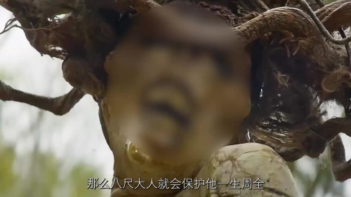 白桦树幻化为精灵,守护着小男孩的温暖母亲情感