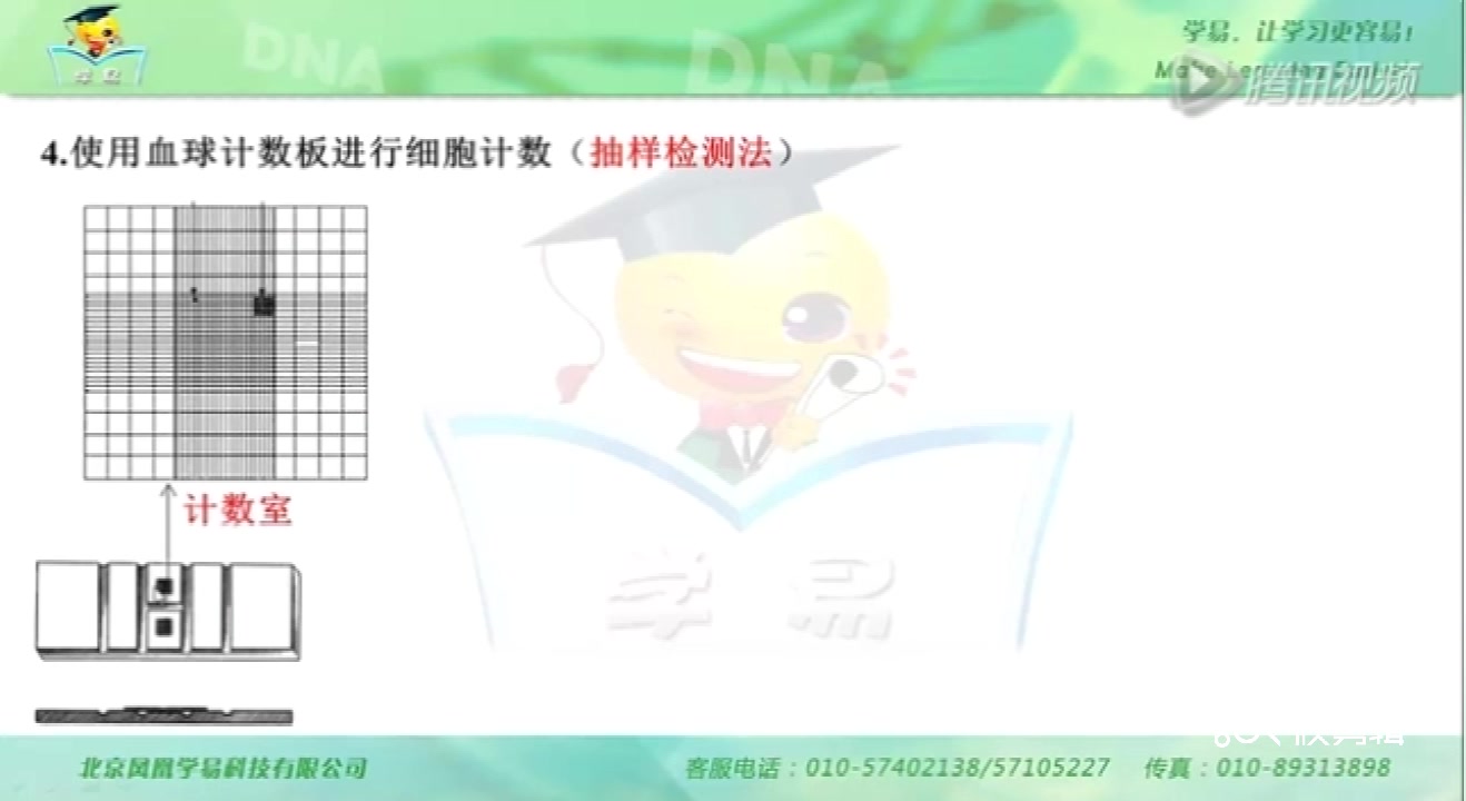 探究培养液中酵母菌种群数量的动态变化