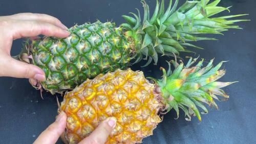 50年白活了!切凤梨竟如此轻松,不削不挖1秒搞定,太神奇了!