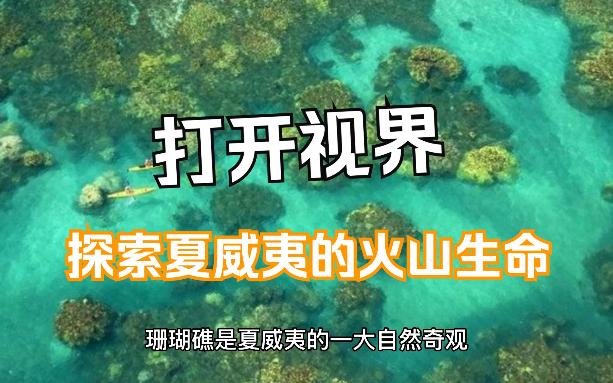 打开视界:探索夏威夷神奇的火山生命——珊瑚礁