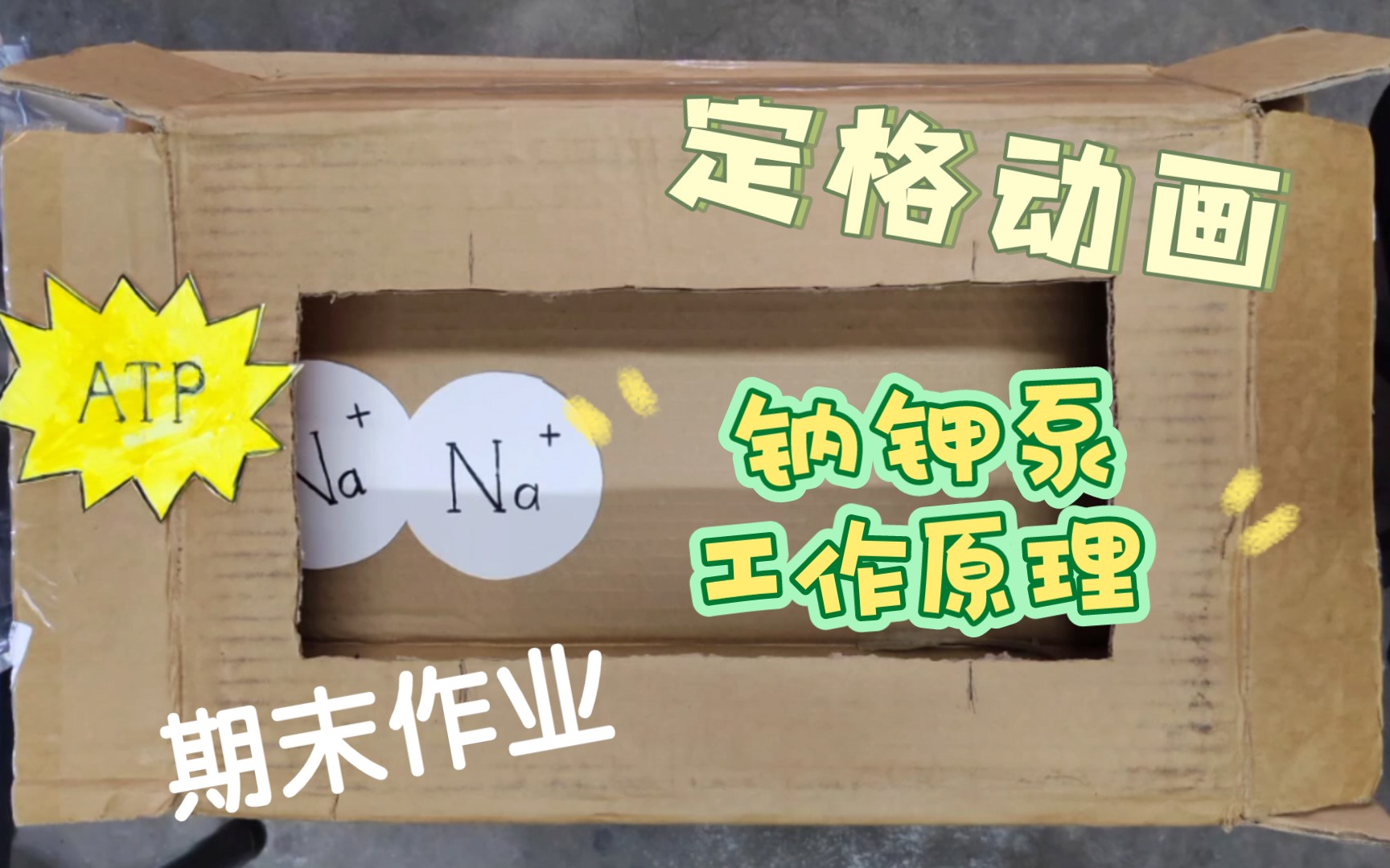 【定格动画(纯手工)】钠钾泵的动画演示