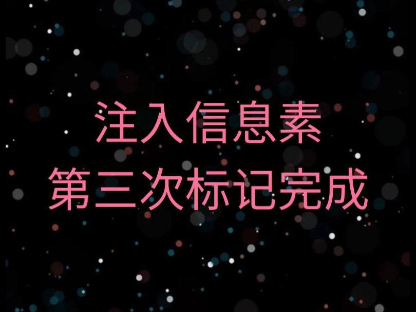 路星辞:想要.很想要.很想要段嘉衍,我喜欢你…的信息素
