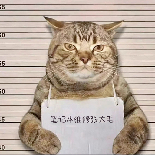 笔记本维修张大毛 