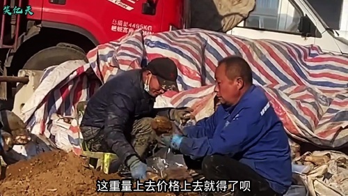 这安全绳绑的,我越看越不对劲儿啊