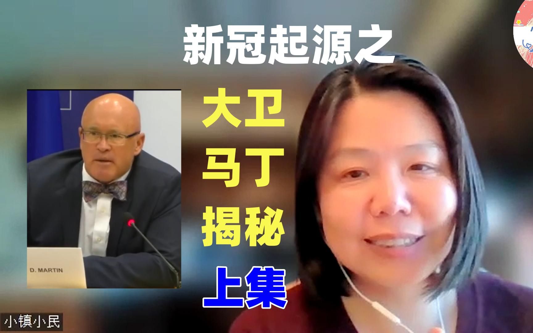 新冠起源揭秘,欧洲议会之大卫马丁解读,上集
