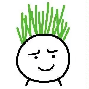 喜欢基金理财的大聪明 