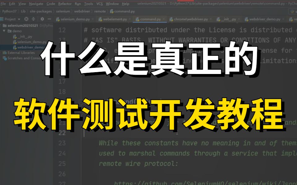 违背祖训:什么是真正的软件测试开发教程!