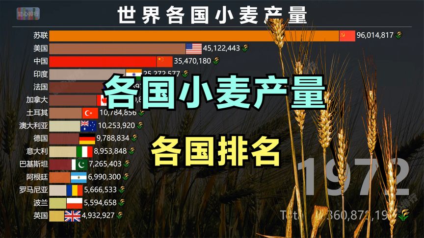 全球小麦产量最多的国家 世界小麦主要和产国排名