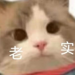 老实汁汁挨板砖 