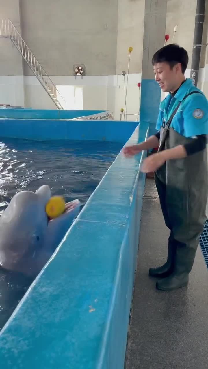 我是自然课代表我说我是一名优秀的幼儿园老师