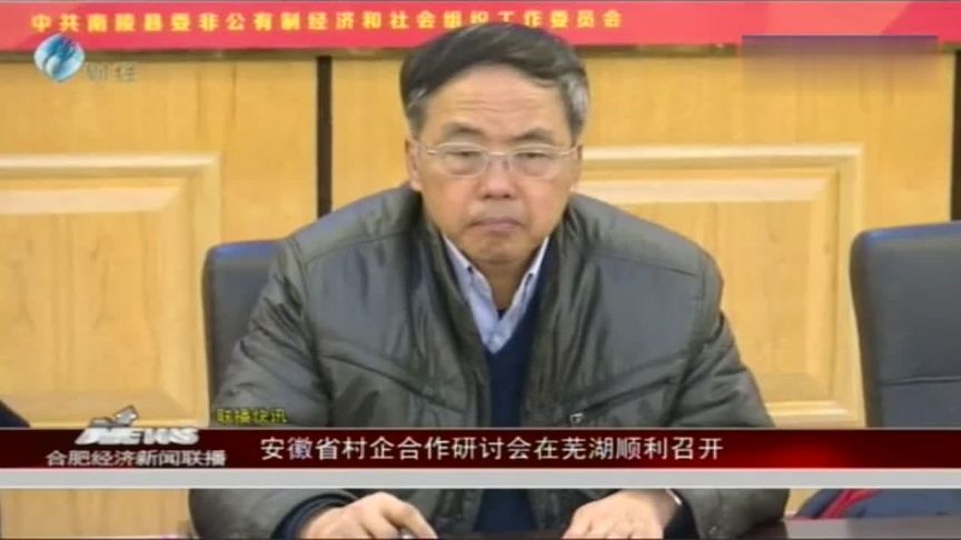 安徽省村企业合作研讨会在芜湖顺利召开,加强各企业间的合作交流