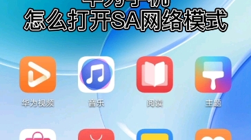华为手机怎么打开SA网络模式