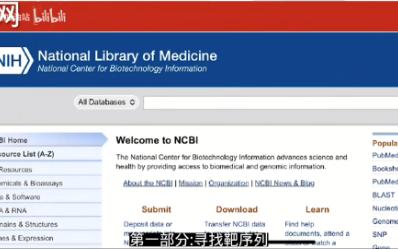 基因序列的查找(自存)