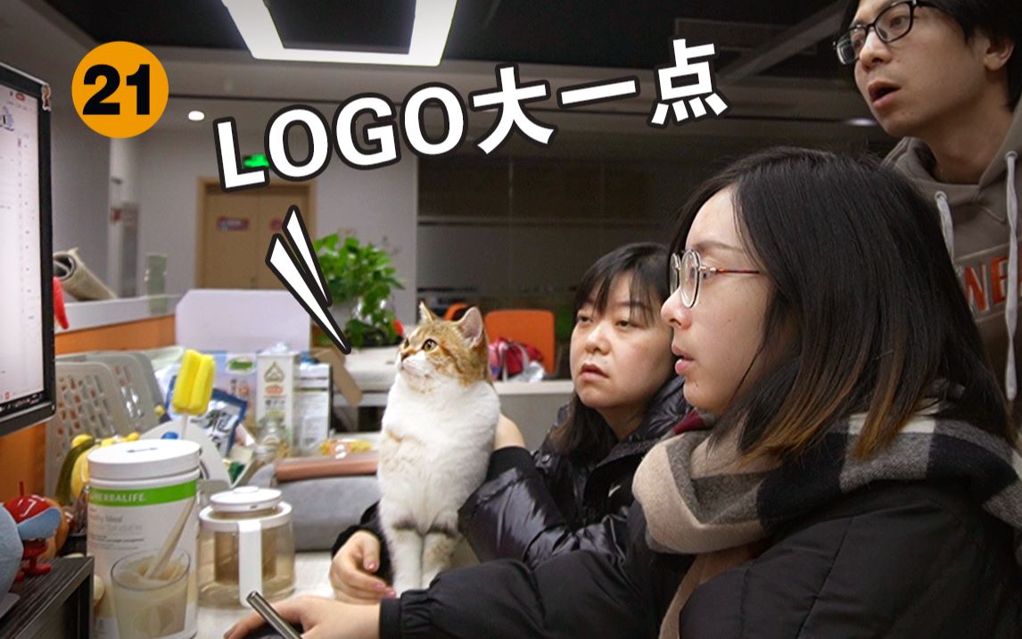和猫一起在公司加班是怎样的一种体验,看萌猫如何拯救加班狗!一只猫...