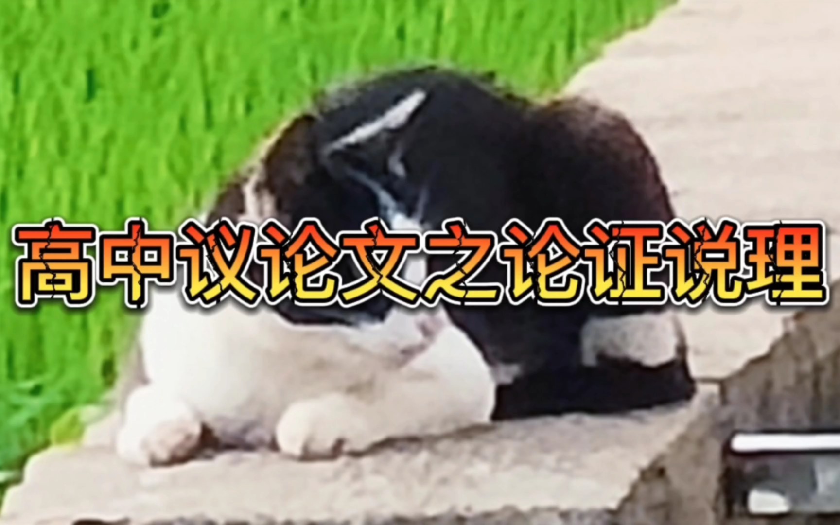 三个方法避免高中议论文假大空,让你成为逻辑鬼才!