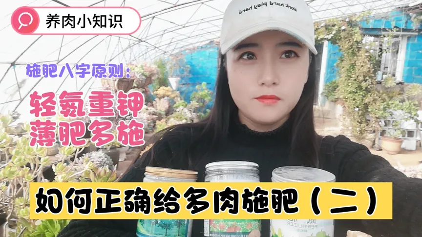 多肉施肥后续:氮磷钾的具体作用是什么?什么情况下要断的肥?