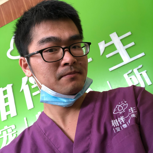 宁波宠物医生王海杰 