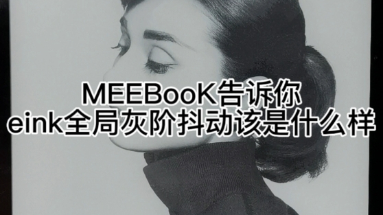 MEEBOOK告诉你,真!全局灰阶抖动是什么样的