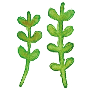 杨老师兴趣教育 