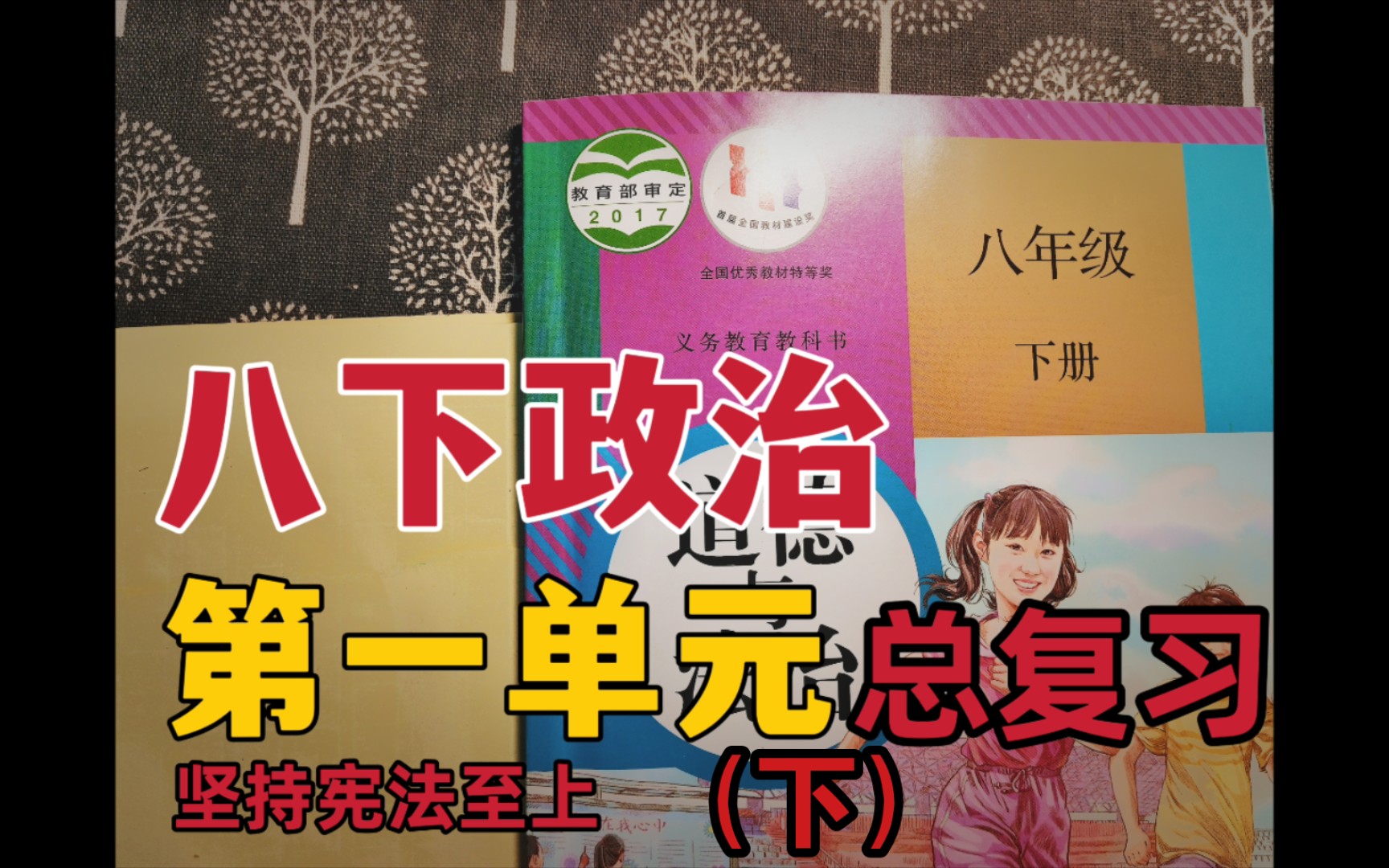 八下政治道法第一单元总复习(下)八年级初二下册道德与法治