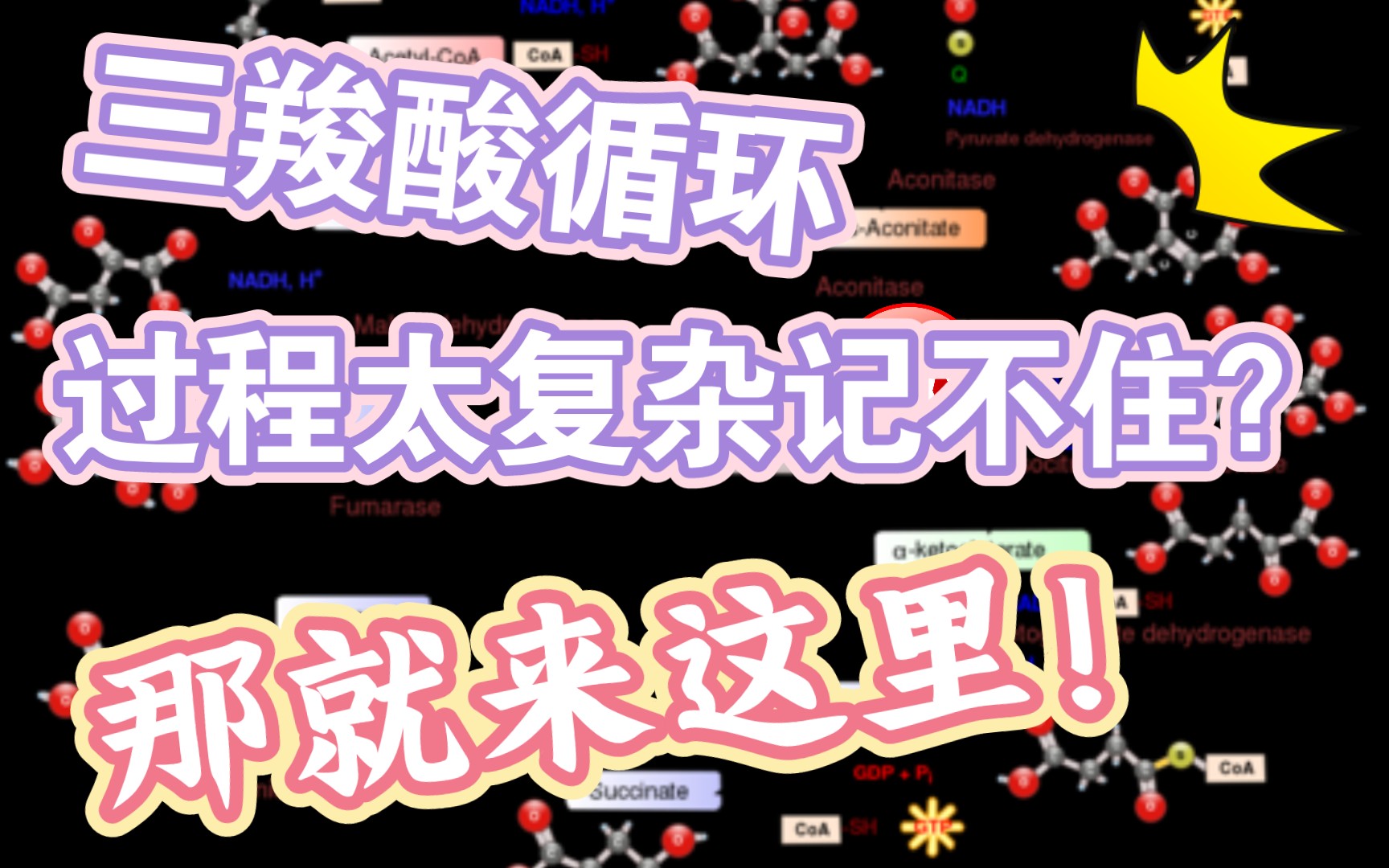 【Medidoc医学课】十分钟教你学会三羧酸循环