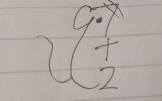 教大家用数字画出一只小老鼠