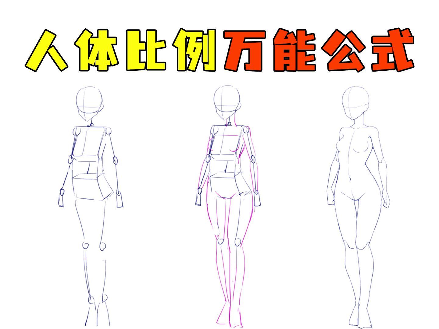 【绘画教程】一套万能公式,零基础也能掌握人体比例!