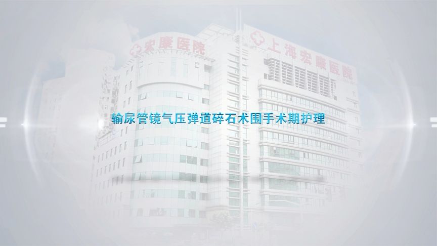 输尿管镜气压弹道碎石术围手术期护理