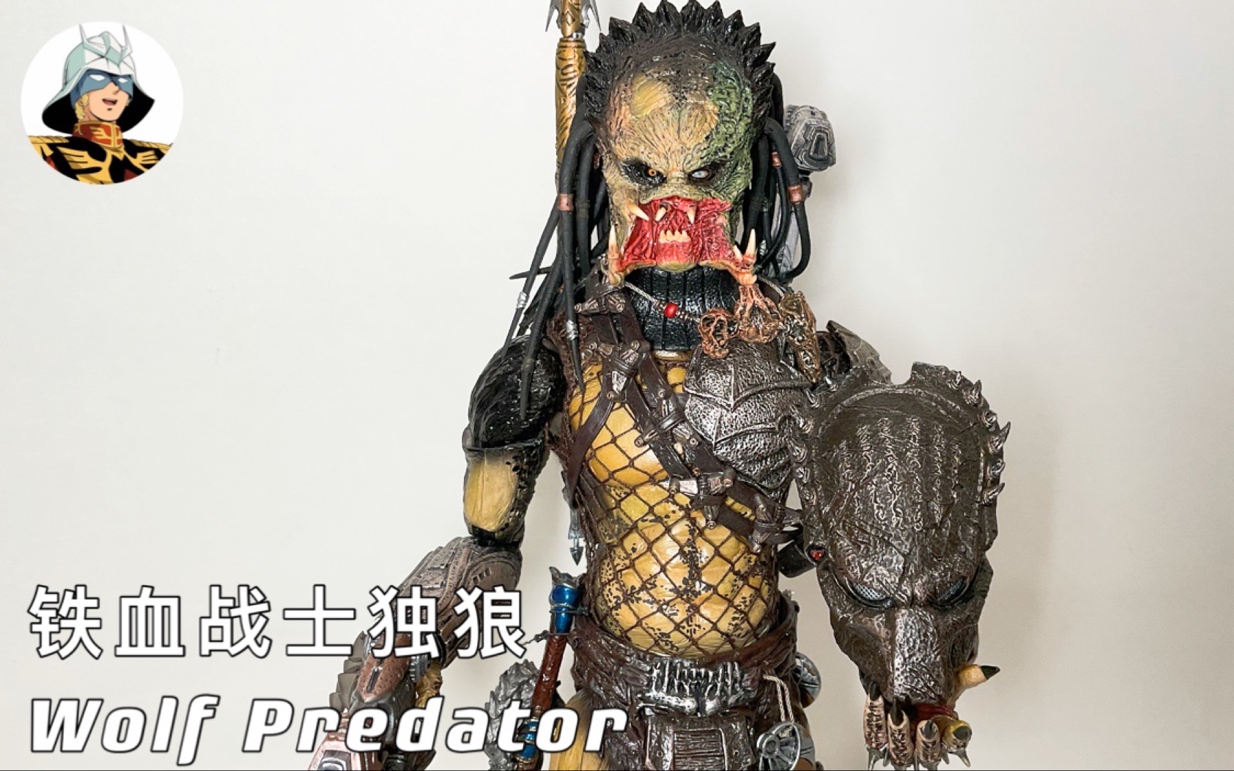 第17期:12寸兵人测评-HT 1/6 《异形大战铁血战士2》独狼 Hot Toys ...