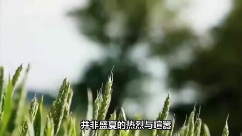 小满:小得即满,知足即安