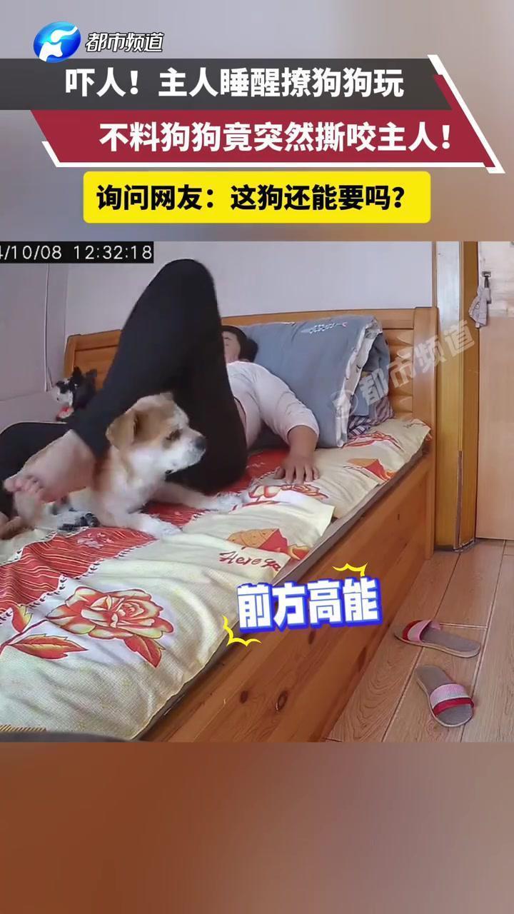 离谱!狗突然咬向主人?#社会百态#危险瞬间#万万想不到#狗