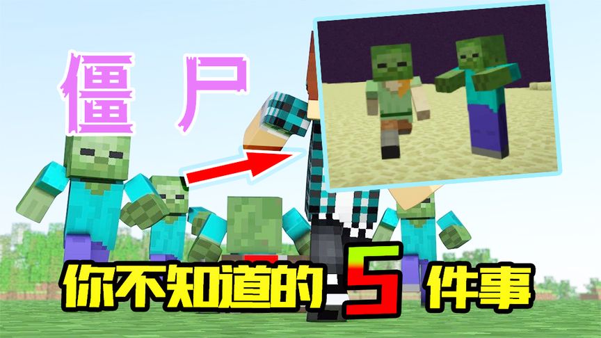 我的世界僵尸你不知道的5件事:3.472万亿分之一生成的僵尸骑士!