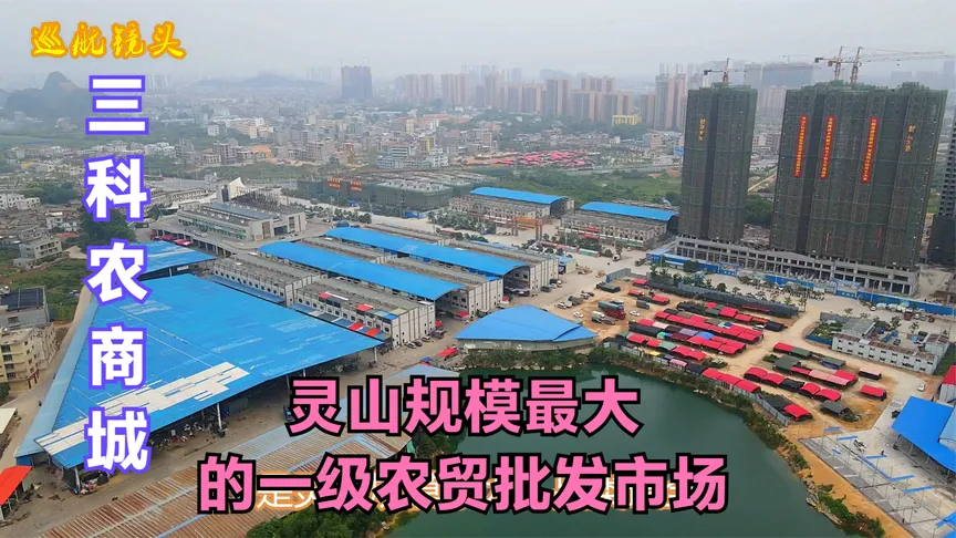航拍三科农商城,灵山县规模最大的一级农贸批发市场