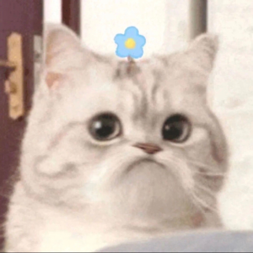 小雪电影 
