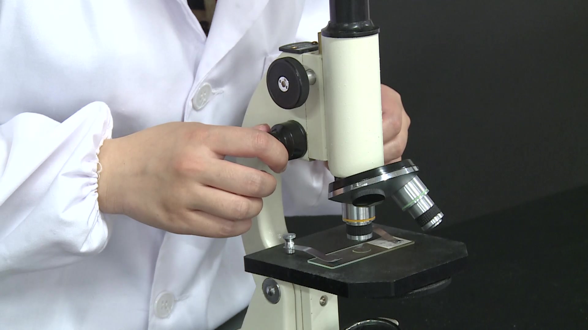 2实验探究二 认识和使用显微镜