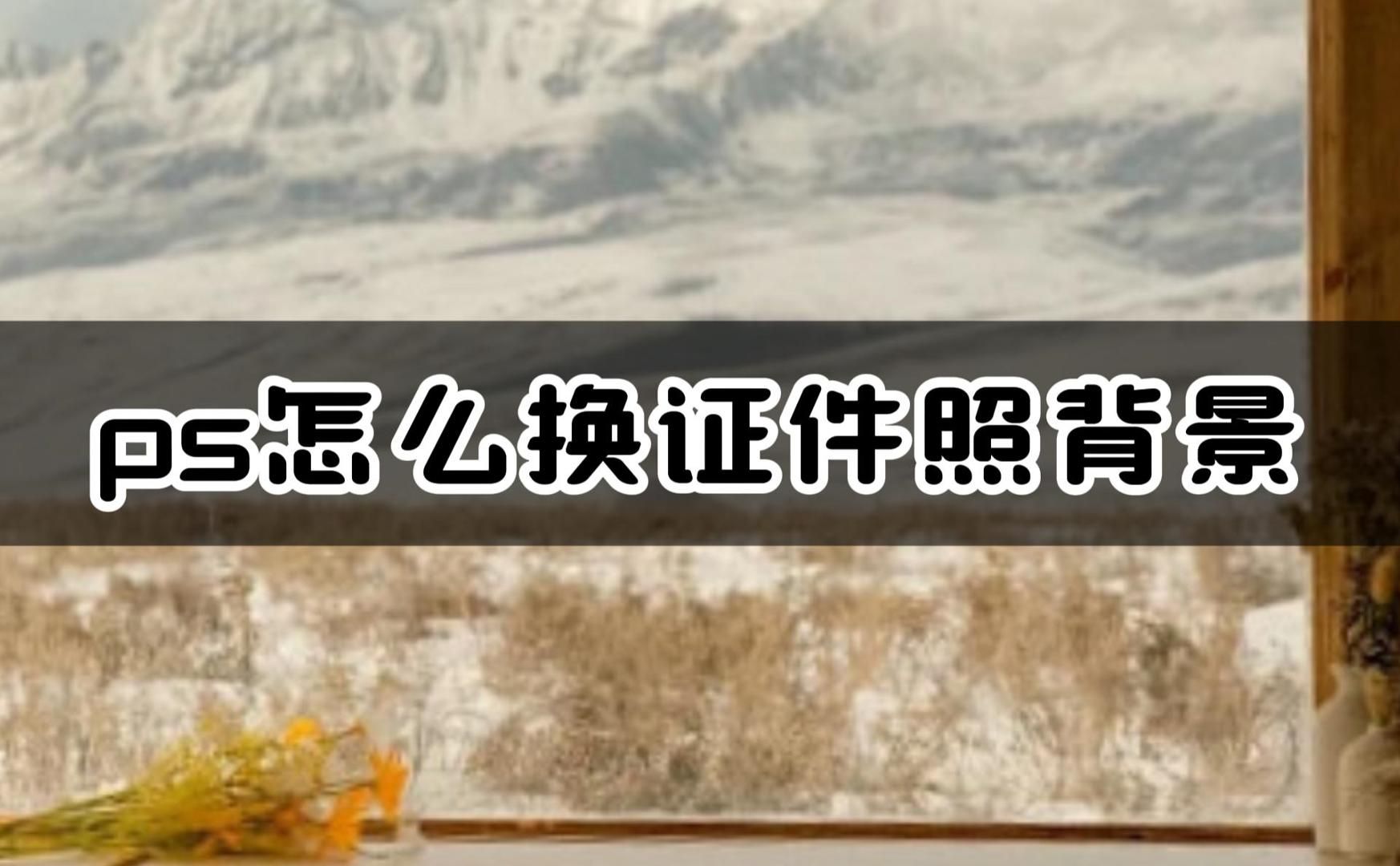 ps怎么换证件照背景?分享4个方法,新手也能轻松掌握