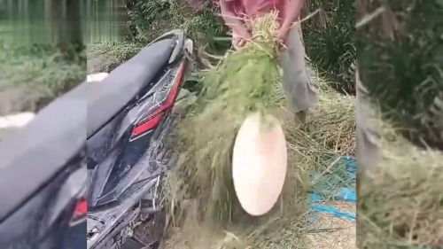 高手在民间!电动车的妙用!劳动人民的神奇妙招!