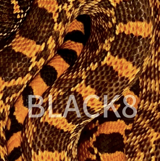 BlackA8998 