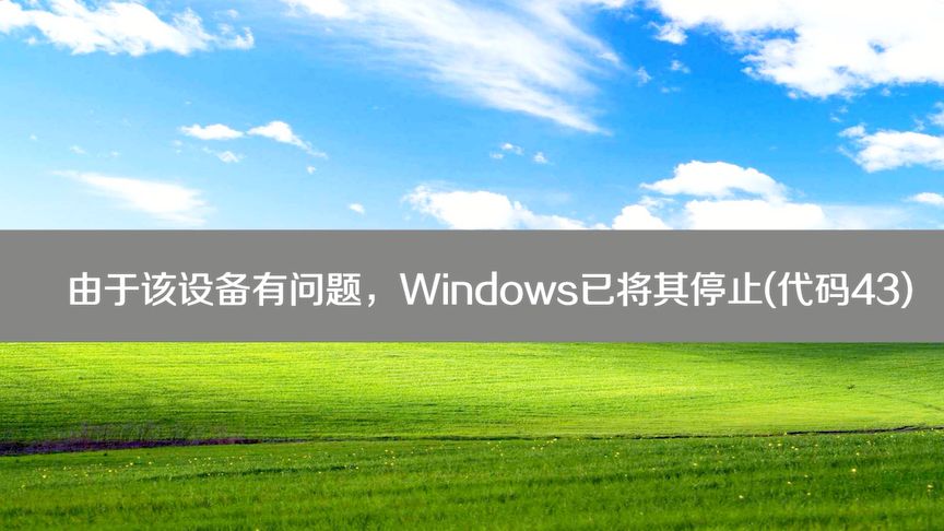 由于该设备有问题,Windows已将其停止(代码43)