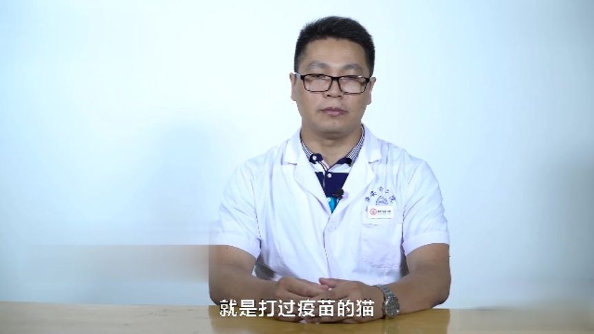 被猫抓伤出血怎么处理?