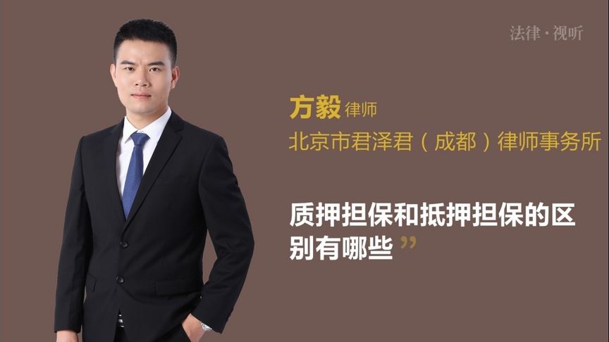 质押担保和抵押担保的区别有哪些