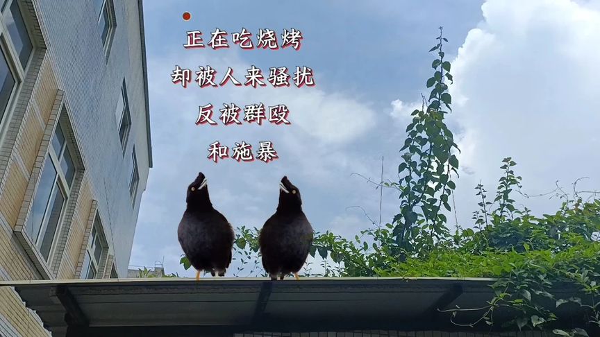 铲除黑势力,还人民一个安定和谐的社会