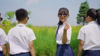 6.26小学毕业季
