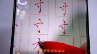 张硬笔书法2021.2.3第十四课(2):竖钩例字寸才示,五种撇画